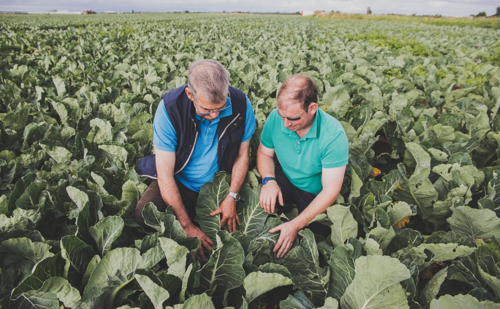 Produce – H&P ASCROFT